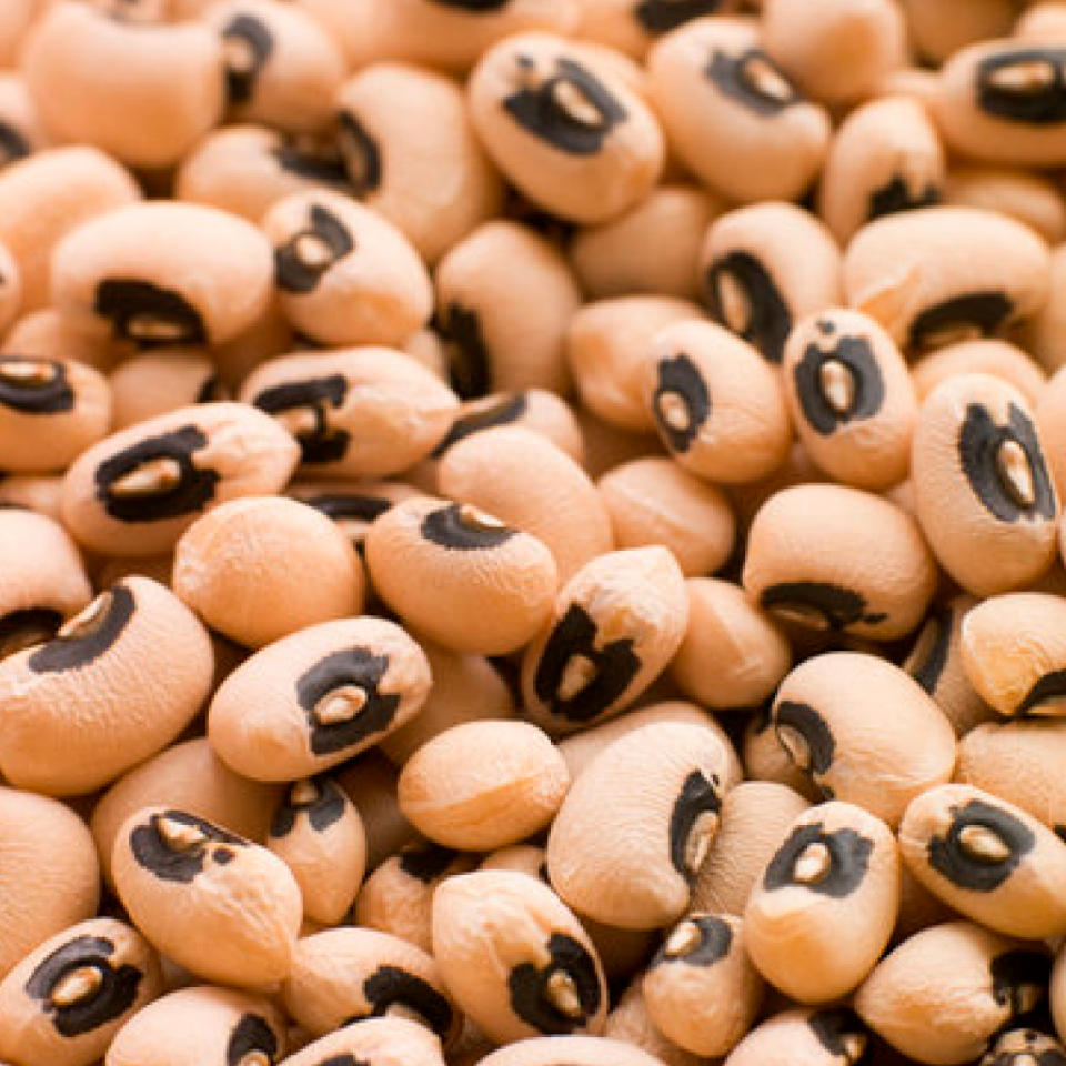 Frejol de palo - Nor 3 Peru