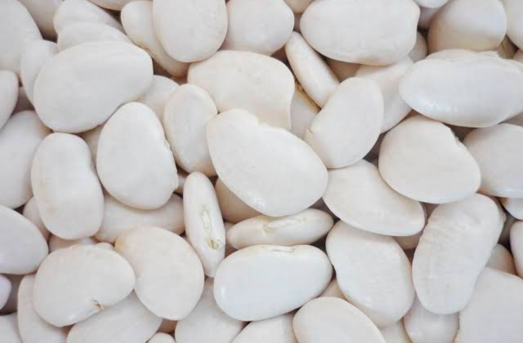 Pallar baby - Nor 3 Peru